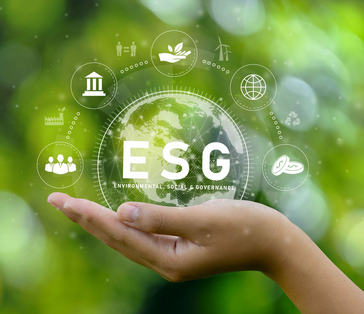 ESG & The Commercial Sustainability Crisis | The Lawyer Portal